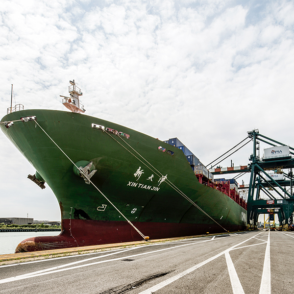 Terminal Container Porto di Venezia | Vecon